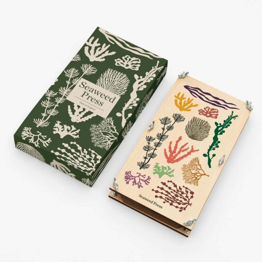 Seaweed Packaging Boxes - Sustainable & Stylish Solutions